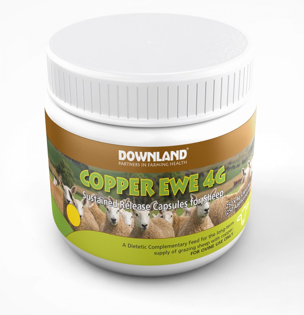 Downland Essential Copper Ewe – Maunders Farm & Country